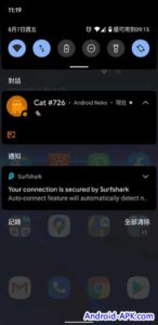 詳盡教學! 開啟 Android 11 彩蛋, 有 Cat Controls 還有 Neko 貓貓 - Android-APK 新聞資訊網站